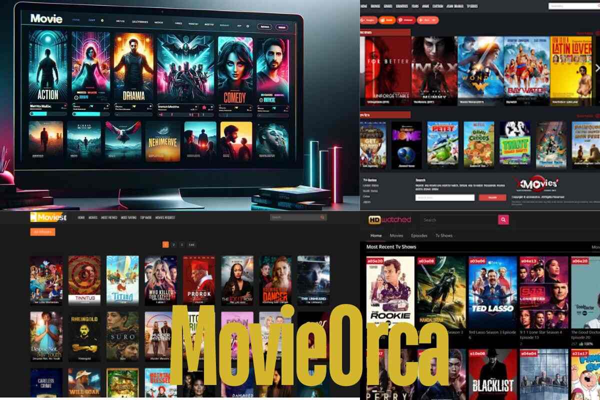 Inside MovieOrca | Everything You Need to Know